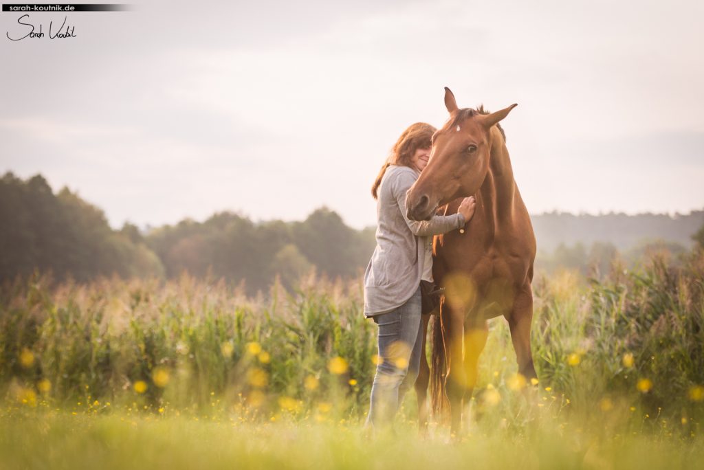 Blog - Sarah Koutnik Fotografie